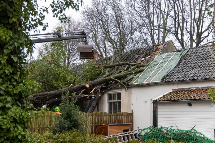 Schade door extreem weer in 2021 bovengemiddeld groot | Economie | AD.nl
