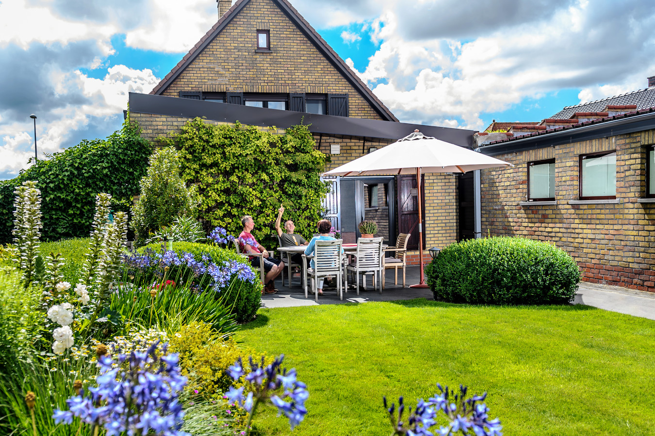 Hoe kort moet je je gras maaien? En hoe bemest je het correct? Onze zes ...