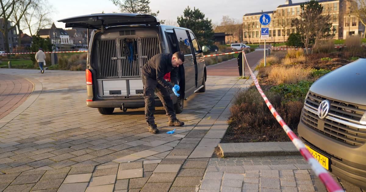 Politie zet onderzoek voort naar ernstig misdrijf in park in centrum ...
