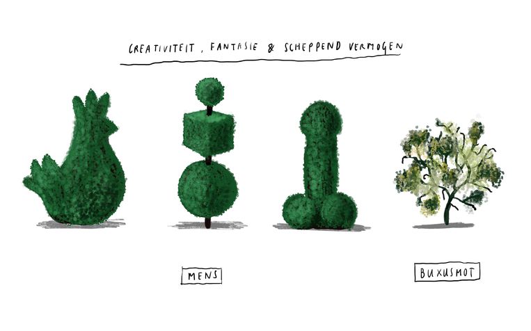 Weekdier van Paul Faassen | De Volkskrant