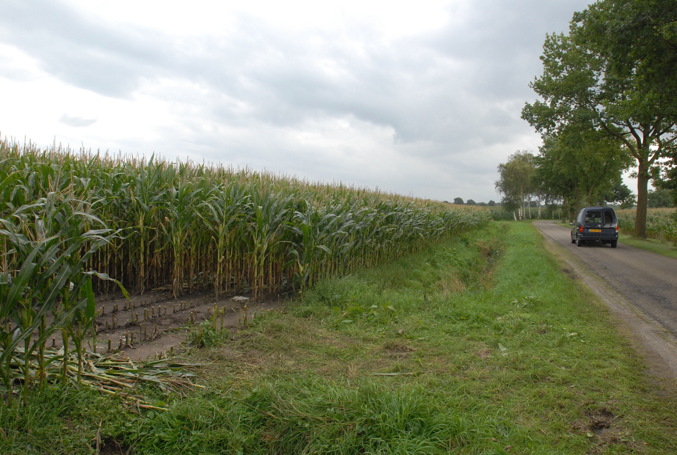 RECONSTRUCTIE. Marita (51) werd vermoord met een broodmes en gedumpt in ...