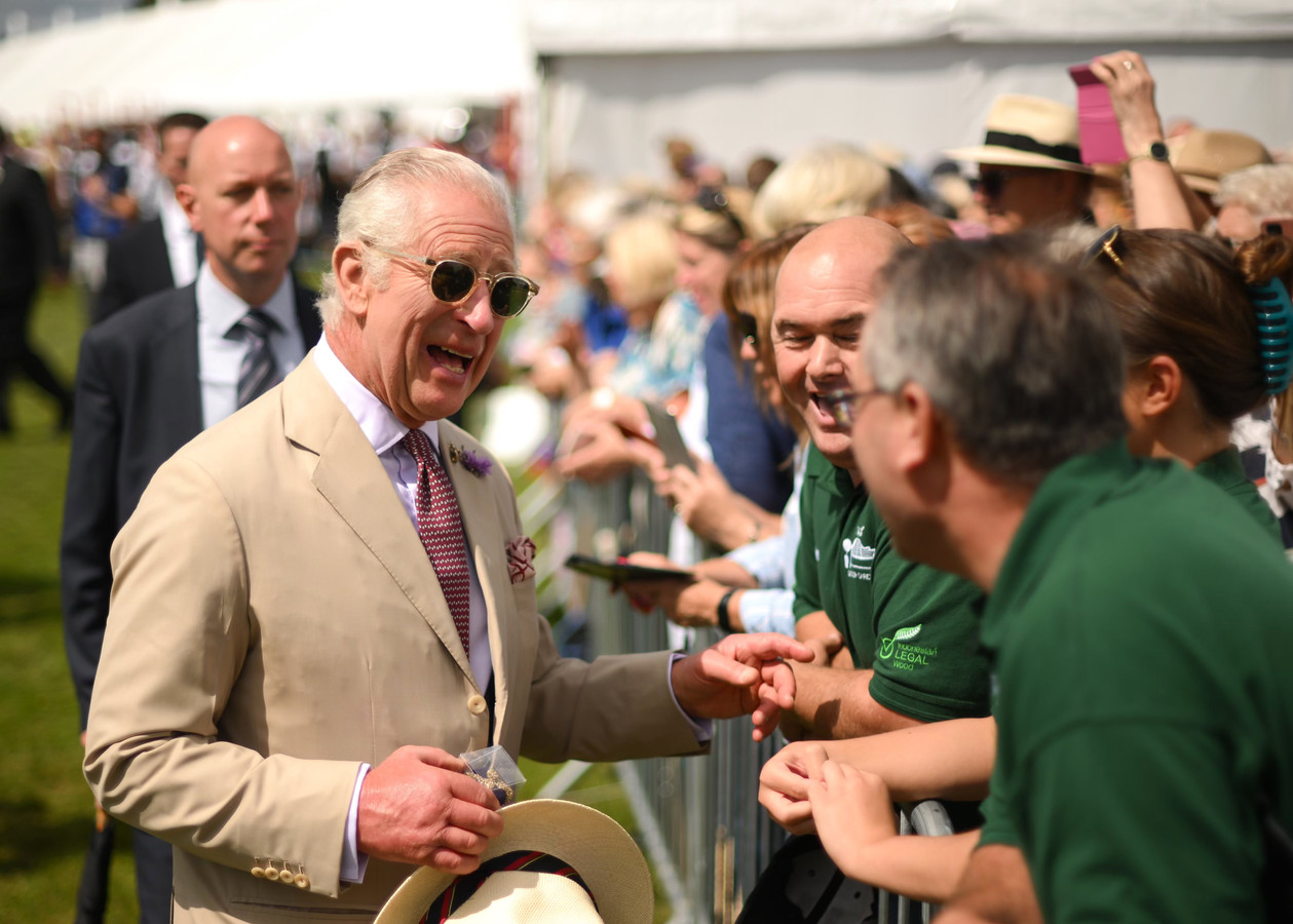 Omgekeerde wereld: koning Charles is opvallend populairder ‘dankzij ...