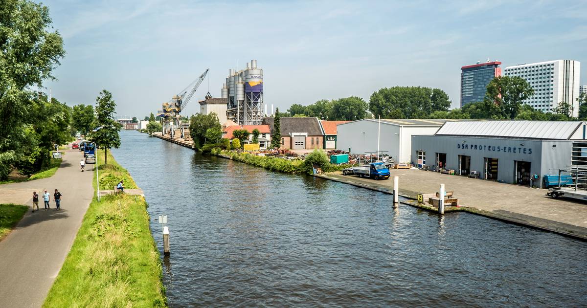 ‘Dove gevel’ moet klachten van studenten aan Schieoevers voorkomen ...