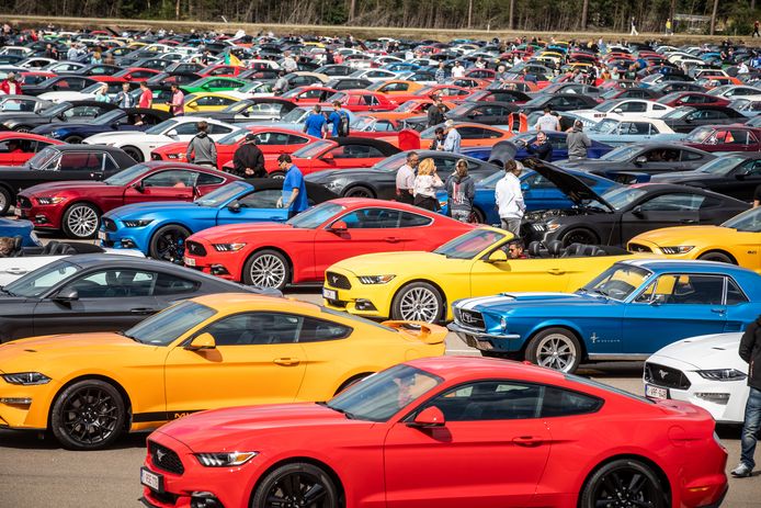 Wereldrecord bij onze grens! 1.326 Ford Mustangs vormen langste parade ...