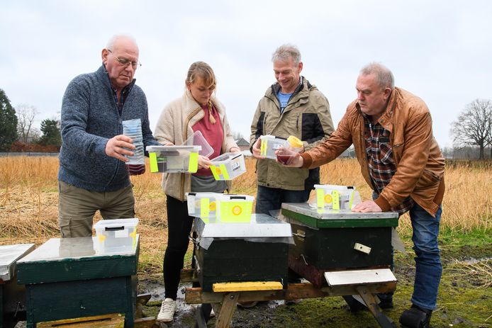 Gilde roept op Aziatische hoornaar te vangen met lokdoos: ‘Nest kan wel ...