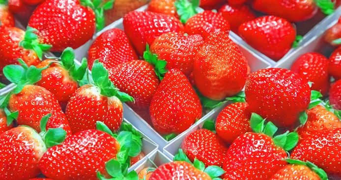 Aardbeien waren nog nooit zo goedkoop | Consument | hln.be