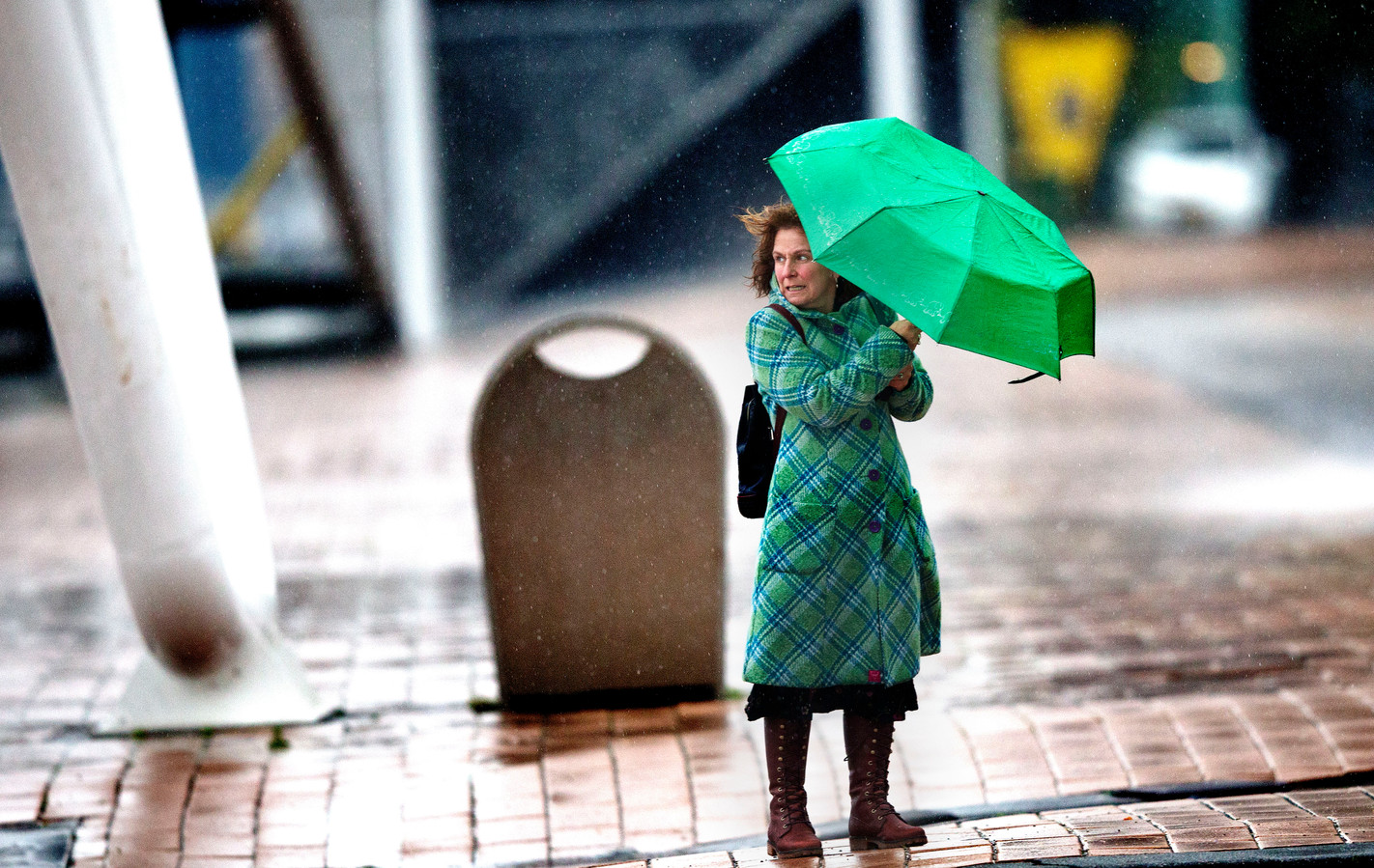 Weerplaza: We krijgen herfstweer en een groene kerst | Foto | bd.nl