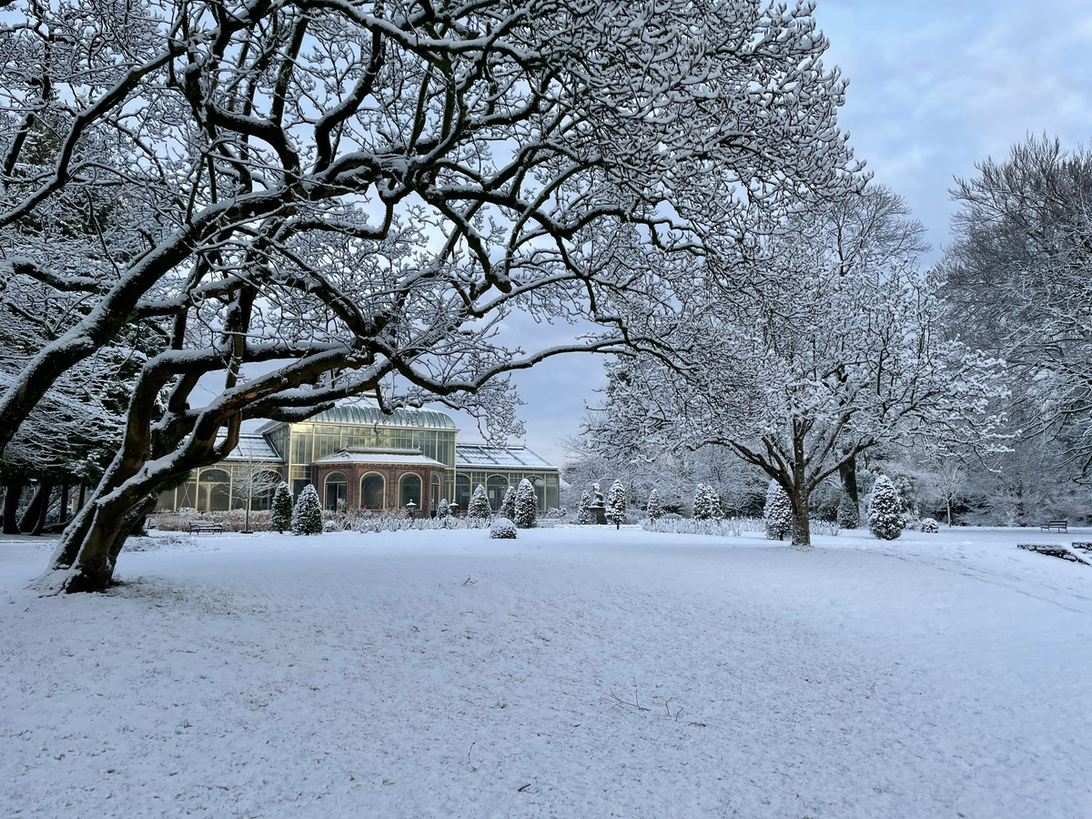 Welkom in winter wonderland! Dit zijn jullie mooiste sneeuwfoto's uit ...