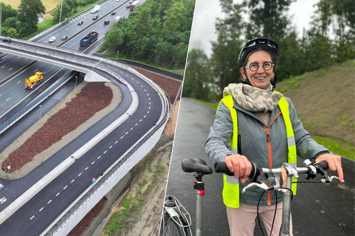 Na jaar werken is nieuwe brug over E40 in Drongen helemaal klaar ...