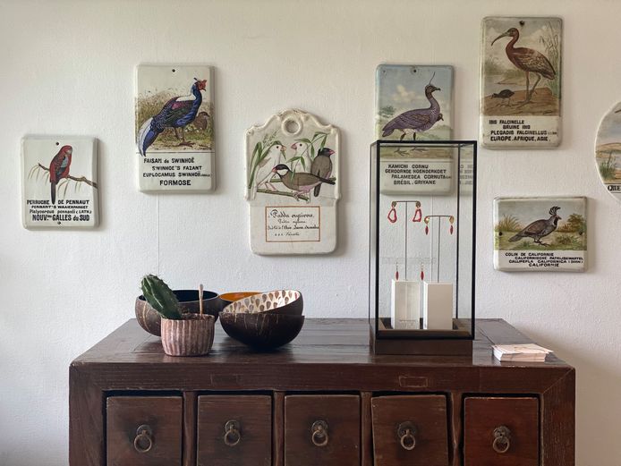 Goudsmid Isabelle (51) stopt juwelenwinkel na 20 jaar nadat dieven voor ...