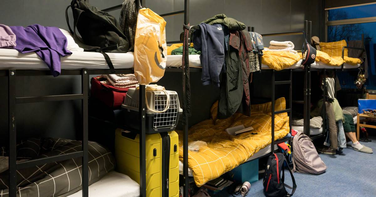 Bijna helft van Oekraïense vluchtelingen in Nederland vindt binnen paar ... Bijna helft van Oekraïense vluchtelingen in Nederland vindt binnen paar ...