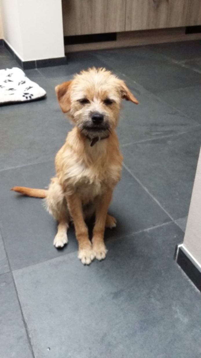 Dit zijn onze Frekkels uit de regio | Home | gelderlander.nl