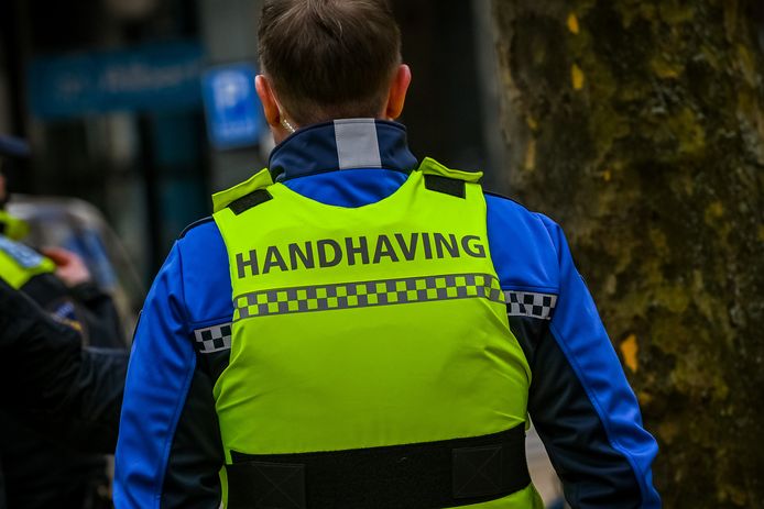 Meer boa's op straat in Tholen: moeten het wel of geen bonnenschrijvers ...