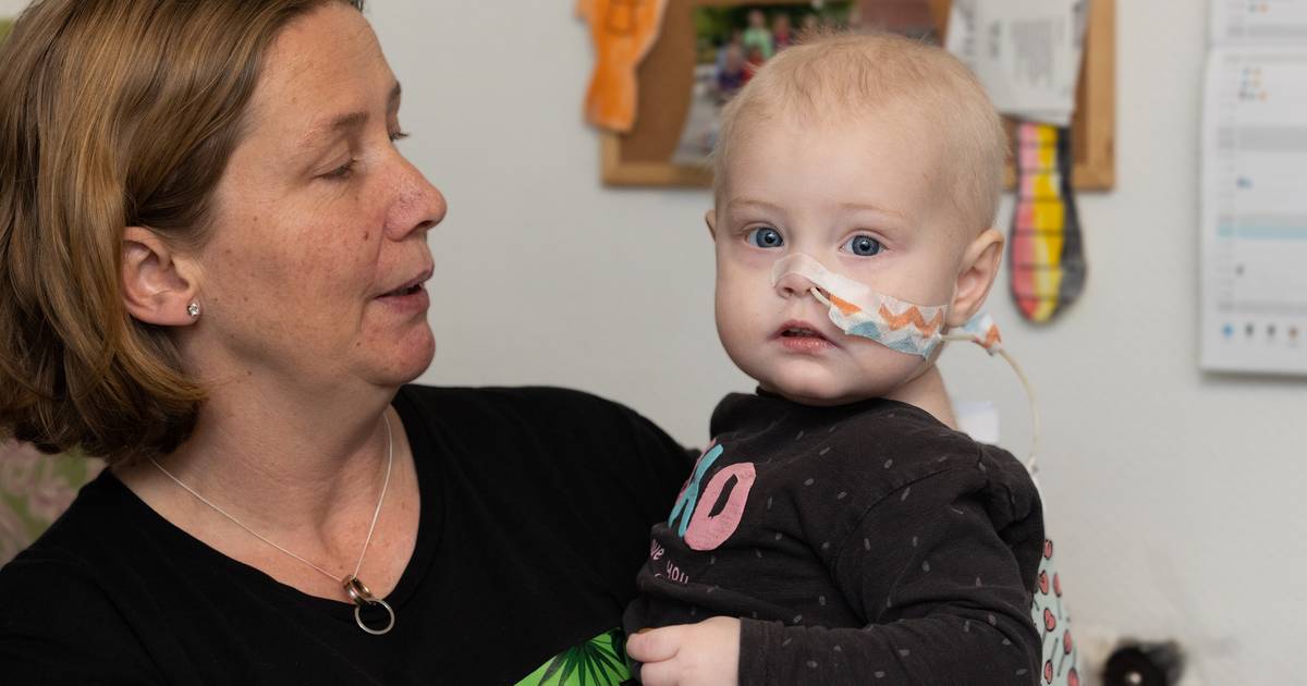 Enkel met zware operatie in Duitsland kan tumor van Mila (1,5 ...