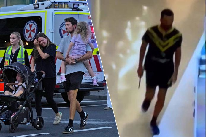 40-jarige dader dodelijke steekpartij Sydney had psychische problemen ...
