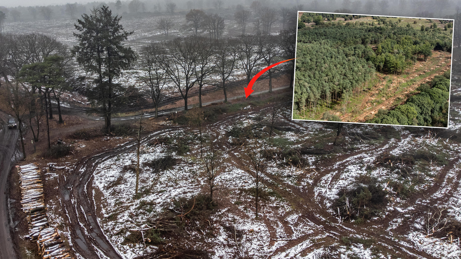 Bomenkap-soap op Sallandse Heuvelrug krijgt wending: ‘Hoorde gisteren ...