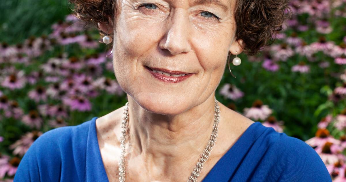 UvA stopt met jaarcontract voor juniordocenten: ‘We doen het als ...