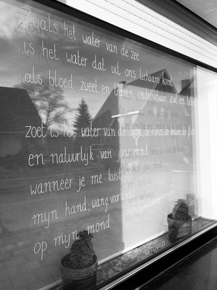 Bijna 200 Aalstenaars hebben poëzie op hun raam: “Aalst omtoveren tot ...