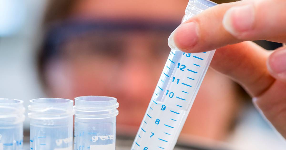 Biotechnologiebedrijf Pharming uit Leiden start proef met eigen ...