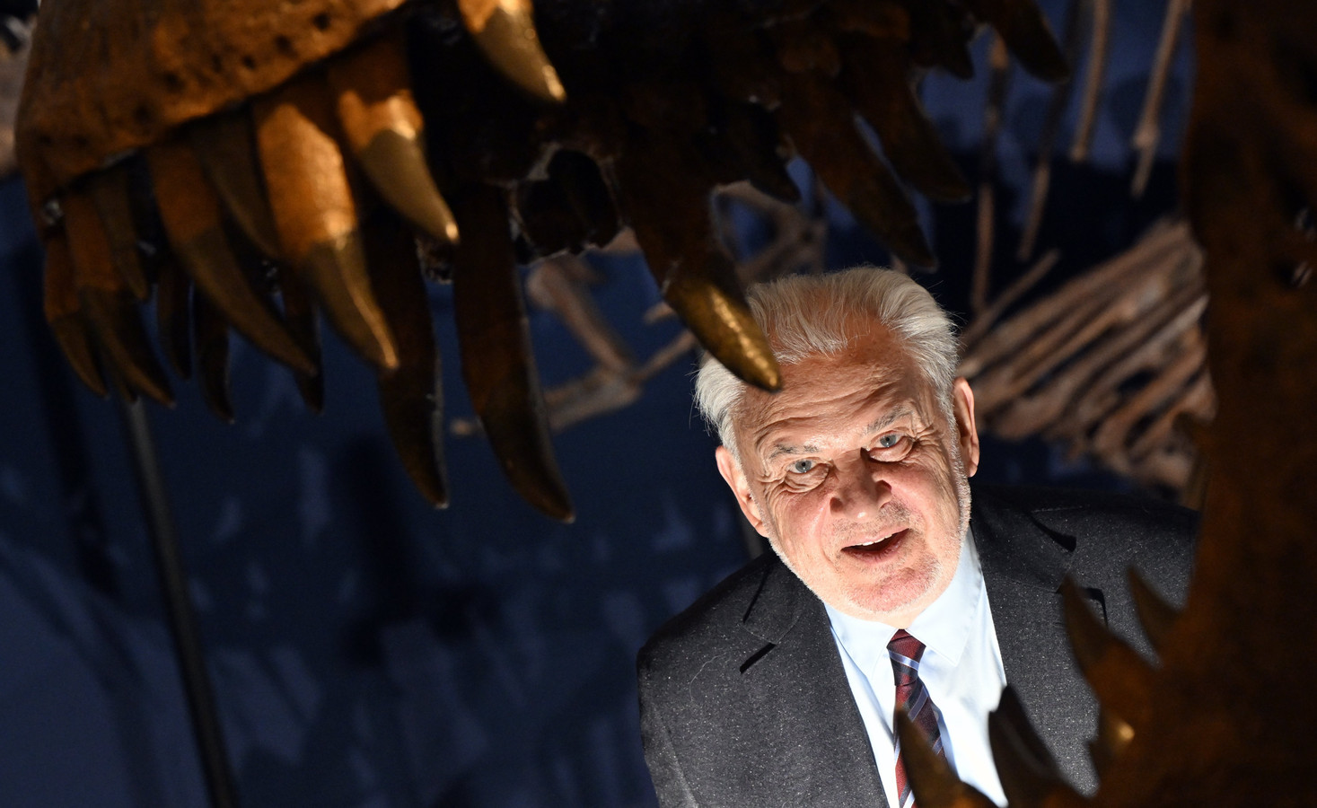 IN BEELD. Fernand Huts bezoekt zijn eigen T-rex in Zwitsers museum: “Trinity moet hét pronkstuk ...