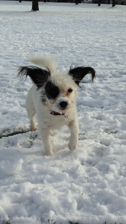 Dit zijn onze Frekkels uit de regio | Foto | gelderlander.nl