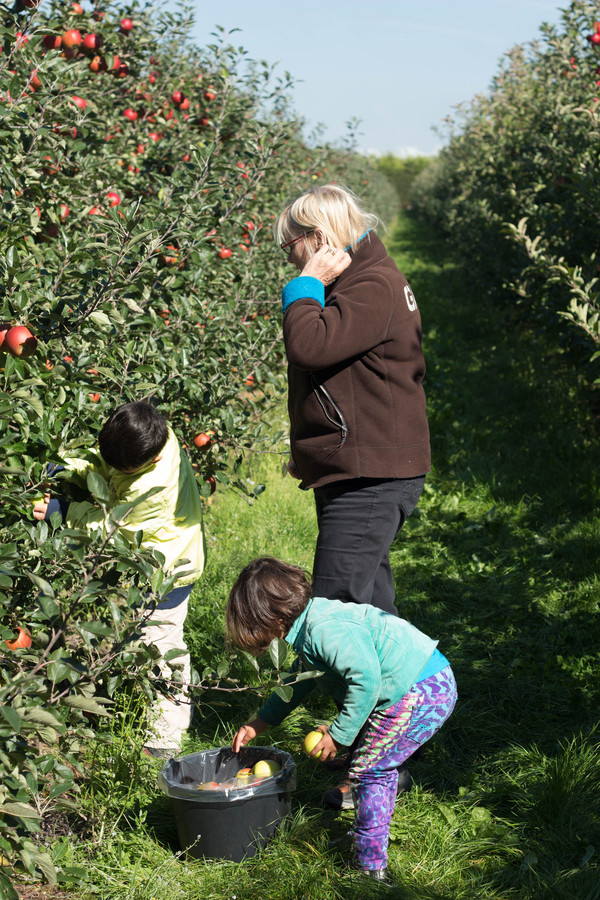 Weekendtips: van het strand in Deventer tot appels plukken in ...