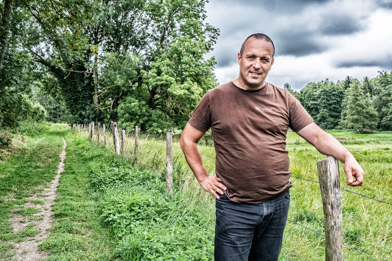 Wolvenman Jan Loos wil snel maatregelen om wolven te beschermen: “Je ...