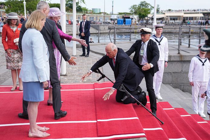 La chute du roi de Norvège à son arrivée à Copenhague | Monarchies ...