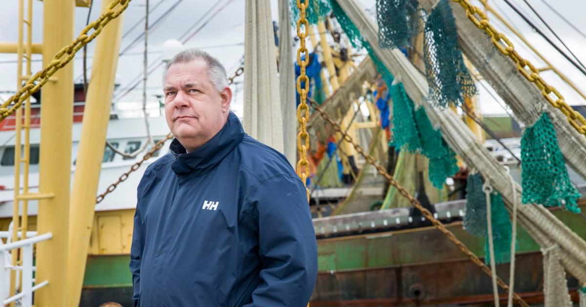 Garnalenvissers vrezen plan voor nog kleiner visgebied: ‘Er wordt een ...