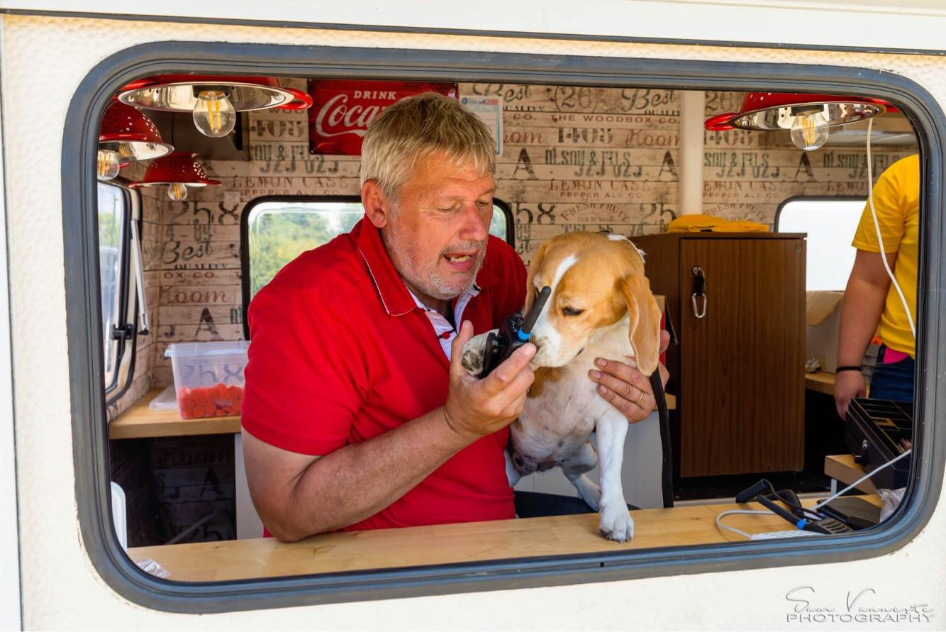 Kortemark Zomert dit weekend: “We presenteren het leukste ...