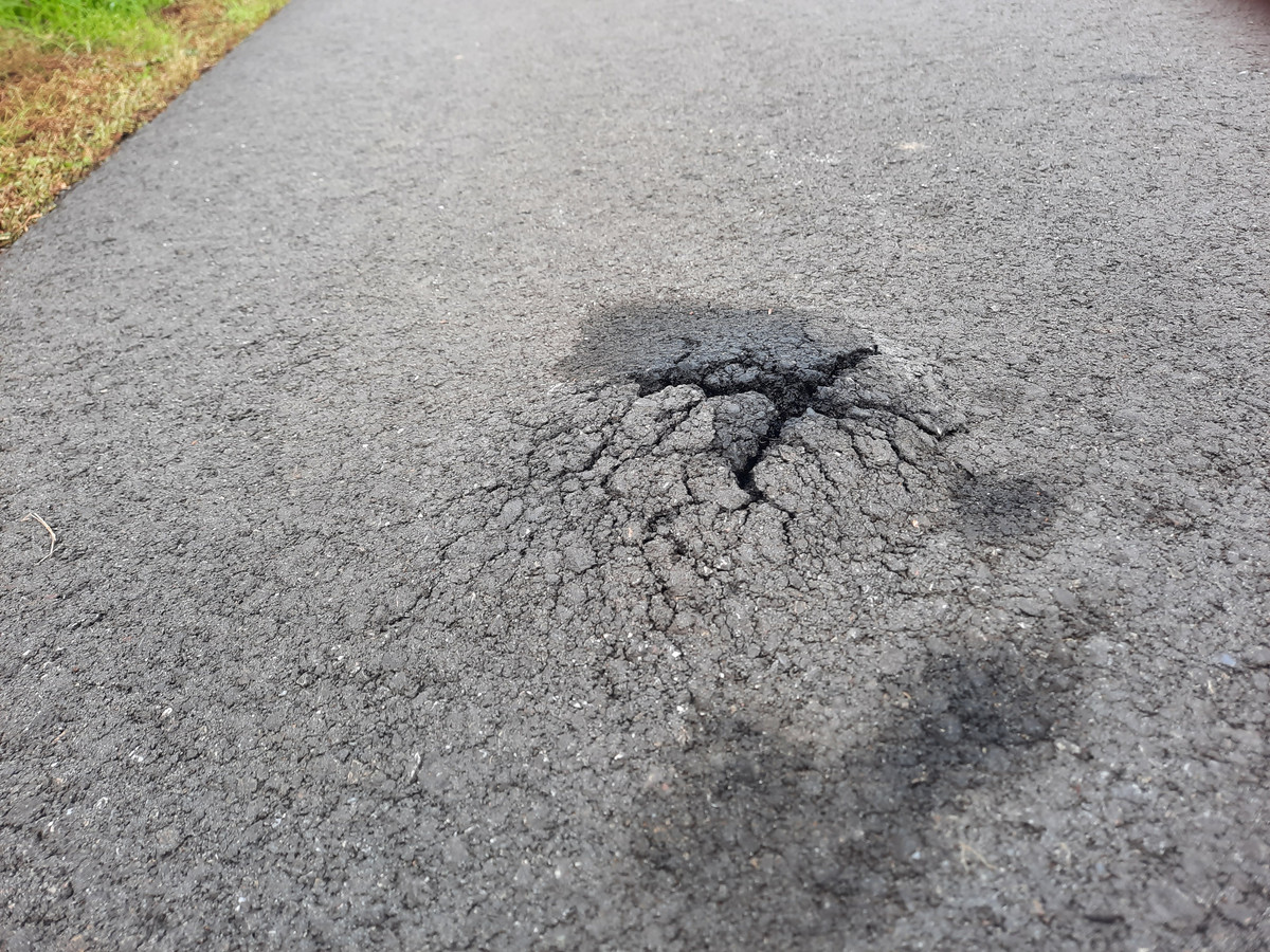 Boom groeit door pas aangelegd asfalt van fietspad: 'Onbegrijpelijk ...