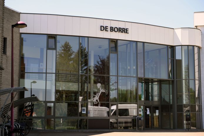 Een expo, een bal en pop-up feestflisten: zaterdag 25 juni viert ...