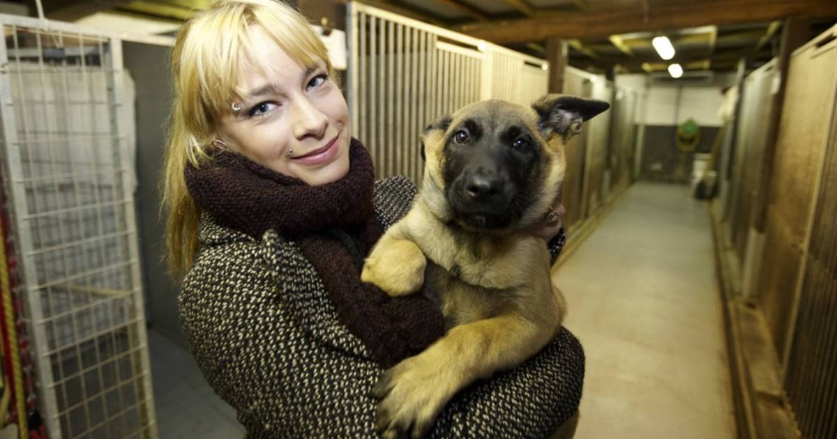 Broodfok leidt tot Twitter-discussie tussen An Lemmens en Griet Vanhees ...