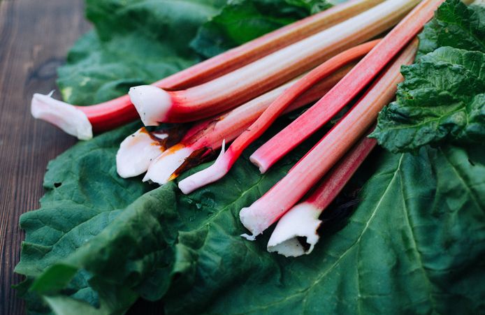 Rabarber: meer dan een ingrediënt voor crumble of confituur. “Maak eens ...