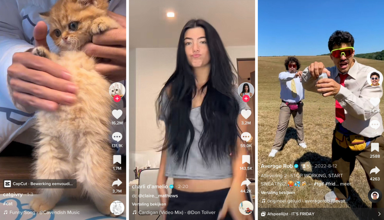 Waarom we als een blok vallen voor TikTok: ‘Speelt in op de ...