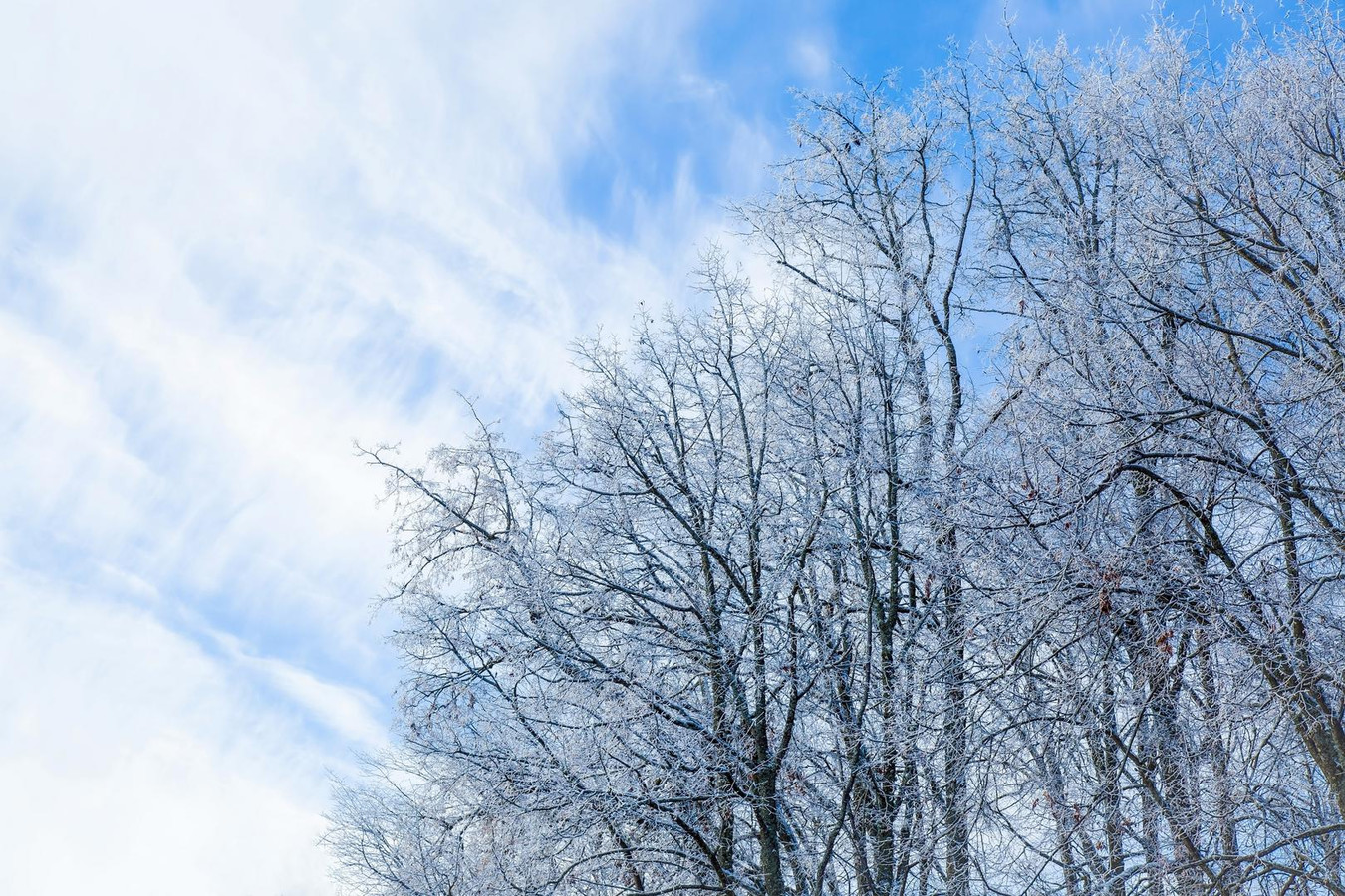 Une belle journée ensoleillée pour débuter la semaine | Foto | 7sur7.be