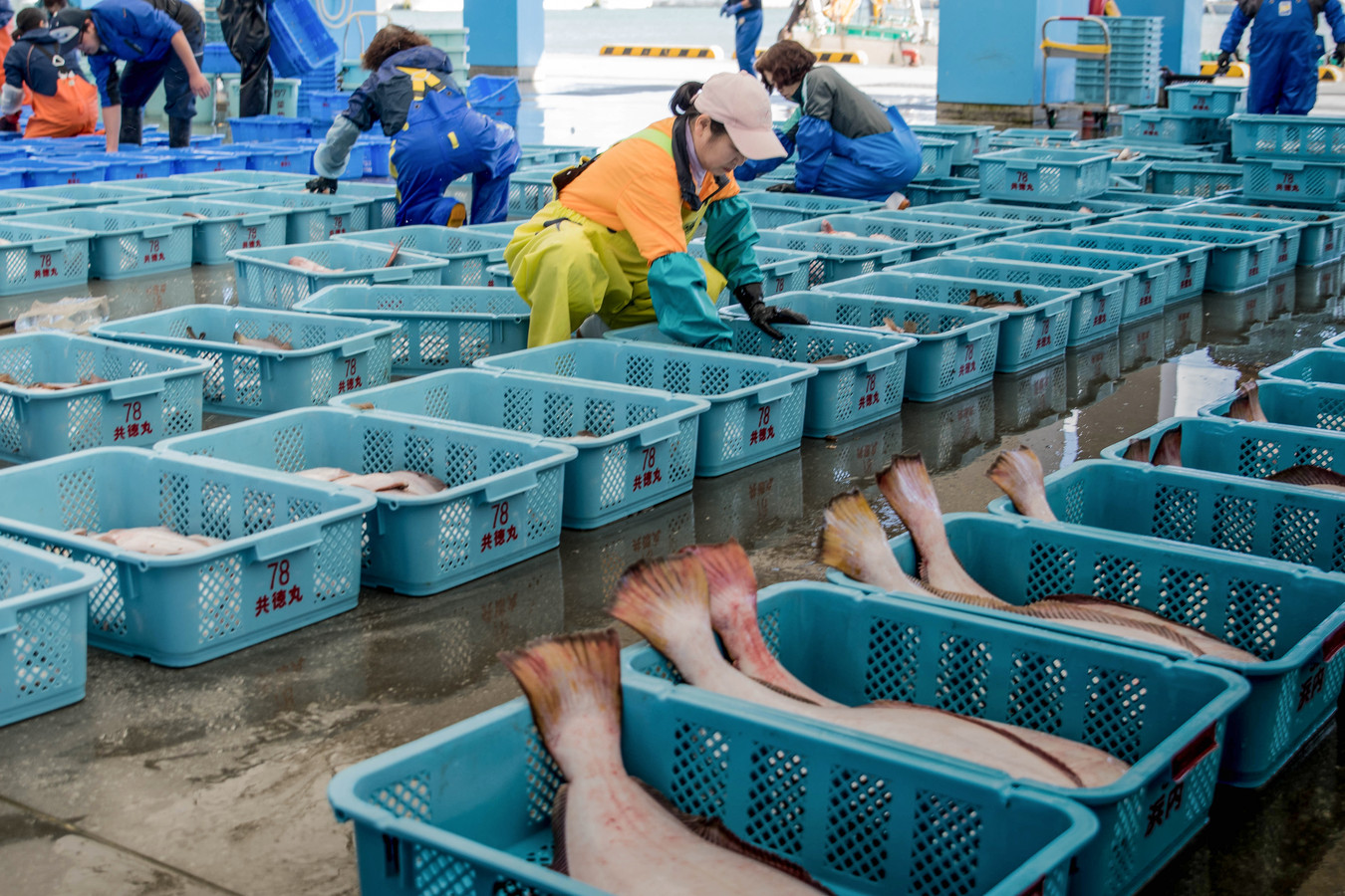 Een zeebeving, tsunami en kernexplosie: hoe is het nu met inwoners van ...