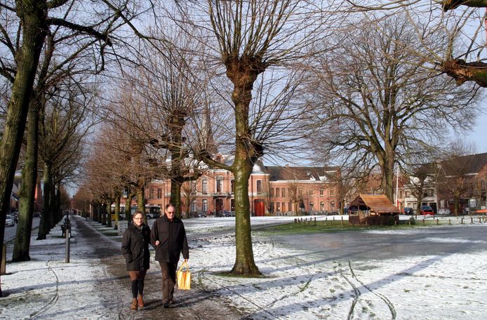 Dries krijgt grindgazon | Sint-Niklaas | hln.be