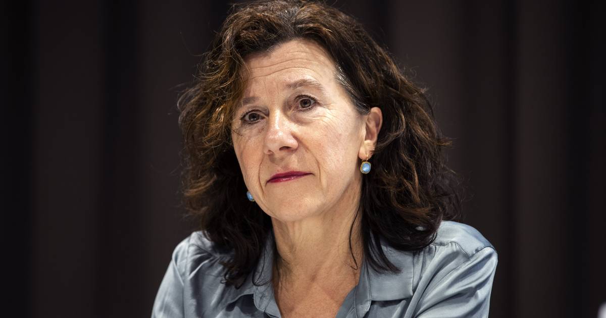 Bedreigingen van Cora W. aan adres van wethouder Hendrickx stoppen maar ...
