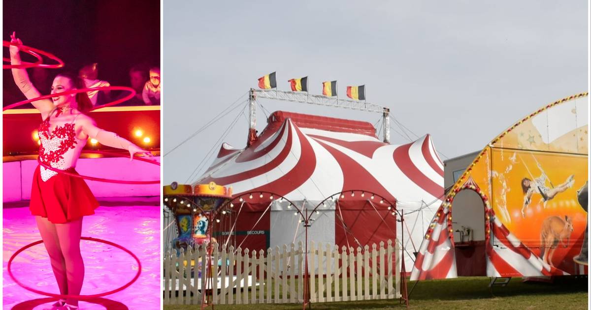 Circus Pipo komt naar Rumbeke | Roeselare | hln.be