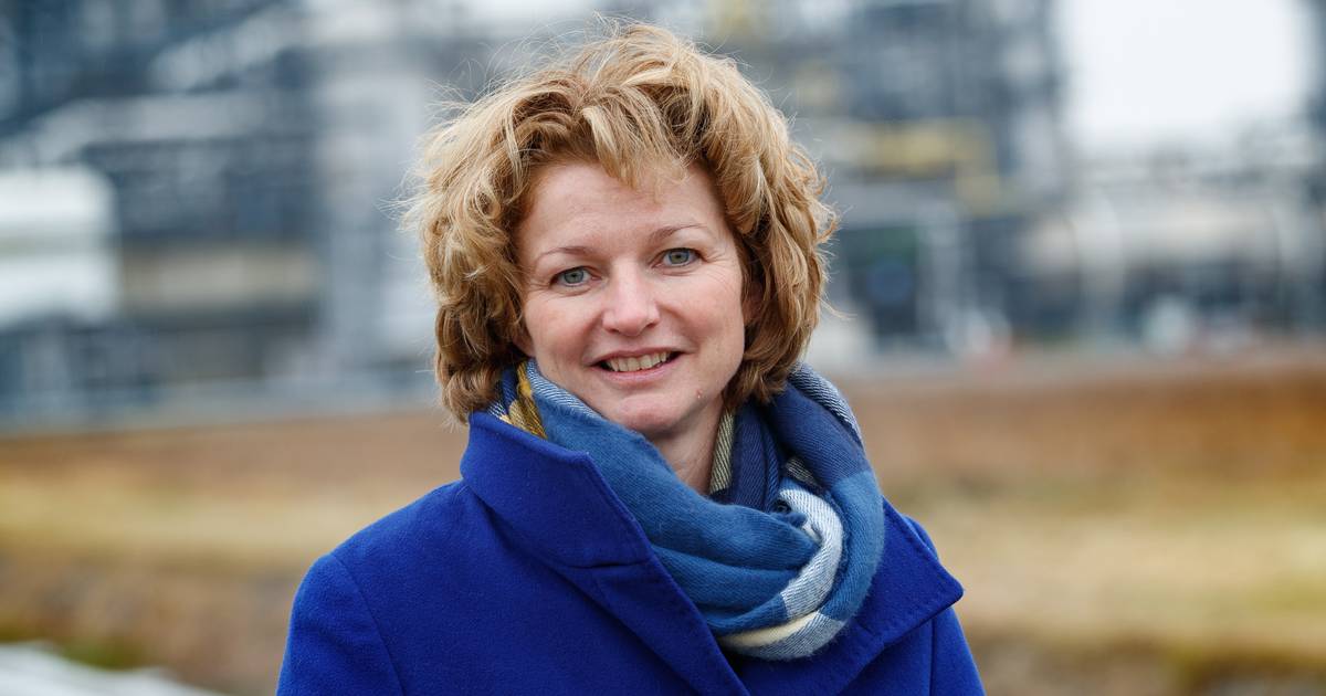 Shell Moerdijk legt gigantisch energiepark aan | Moerdijk | bndestem.nl