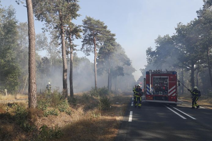 Met vuur spelende tiener veroorzaakt bosbrand in Dorst en belt zelf 112 ...