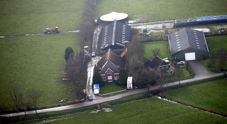 Jasper S. bekent 13 jaar oude moord op Marianne Vaatstra | De Morgen