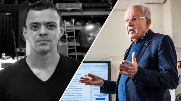 Auto knalt op mast, breekt in tweeën • Kritiek op doodschieten wolf ...