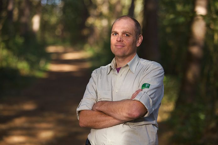 Het Haagse Bos had vroeger last van de oorlog, nu lijdt het vooral ...