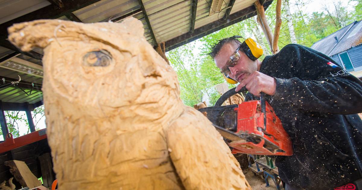 Sander Boom bewerkt bomen als beste | Apeldoorn | destentor.nl