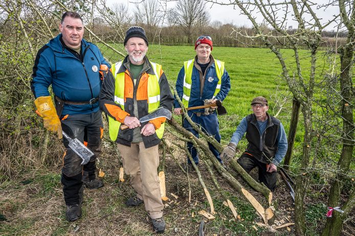Kapmessen en pintjes: Ierse heggenvlechters laten hun kunsten zien bij ...