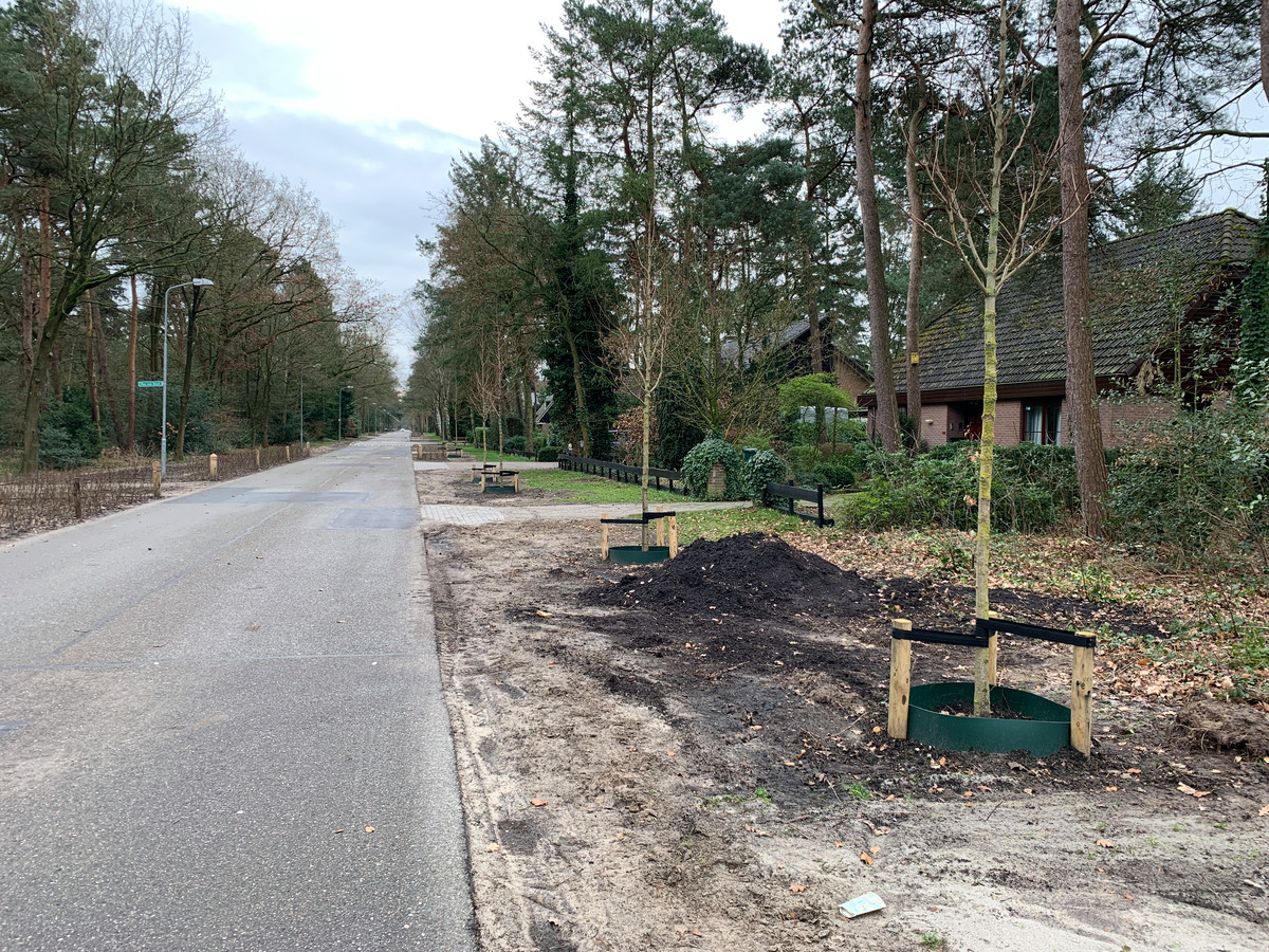 Witte maskers en rasta-haar: mogelijk verband woningovervallen Ermelo ...