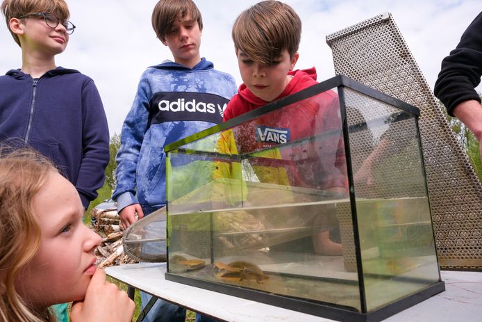 GO!-basisschool Wonderwijs is peter van natuurgebied Bos van Aa en ...