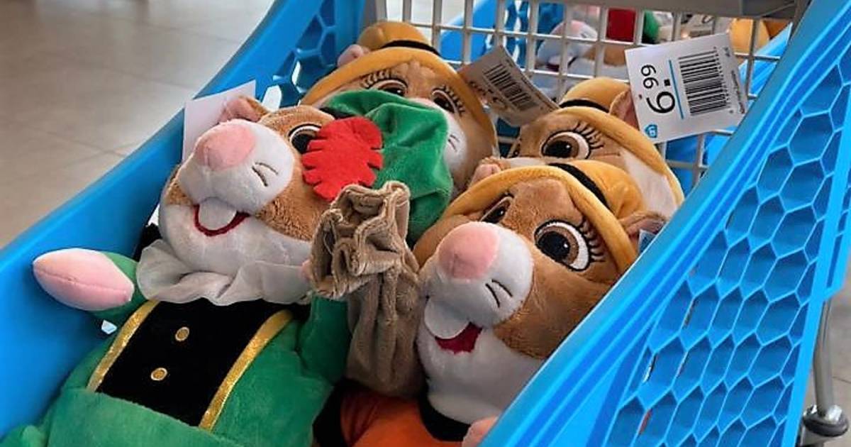 3500 knuffels hamsteren bij Albert Heijn | Lanaken | hln.be